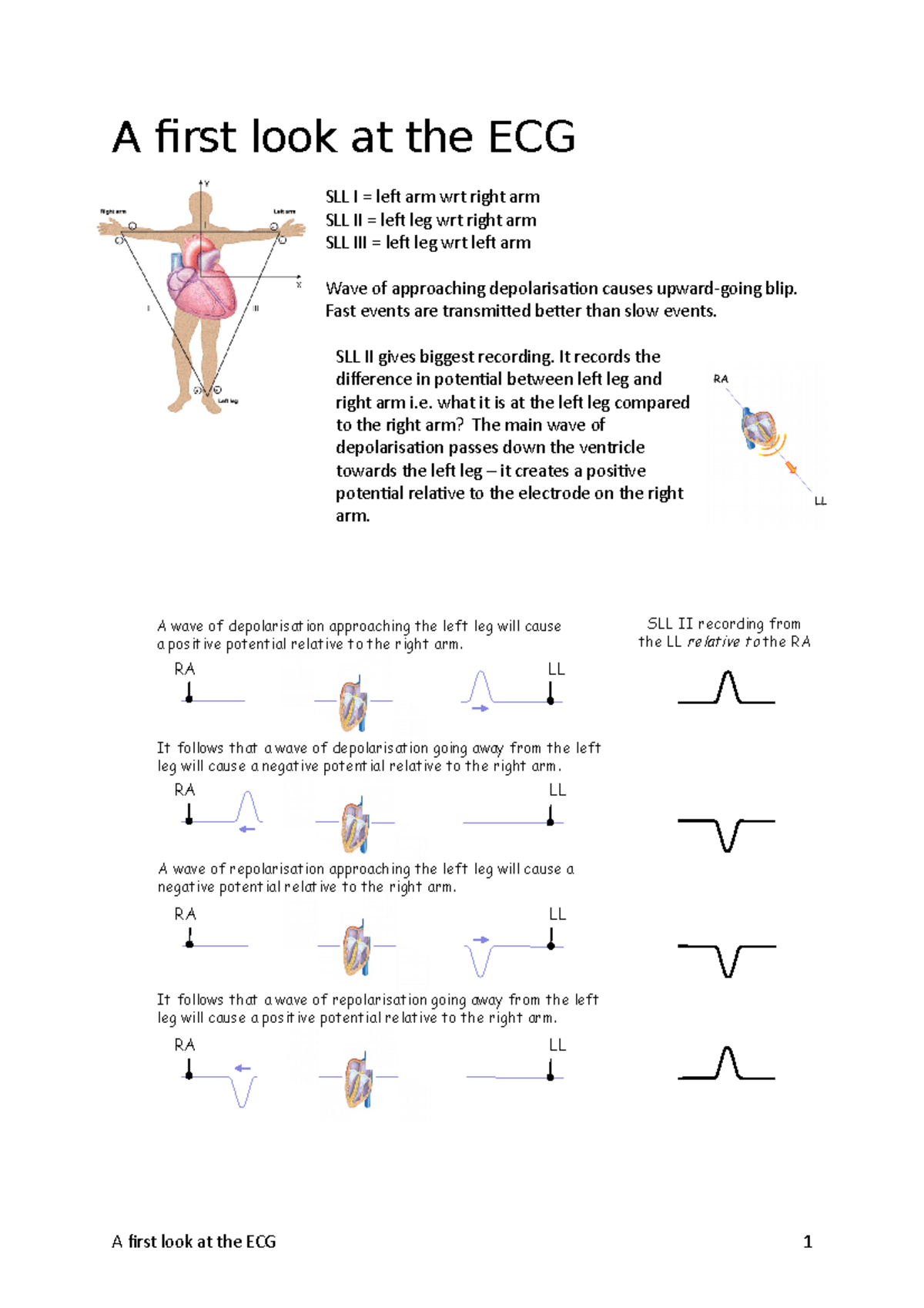 A first look at the ECG - Fast events are transmitted better than slow ...