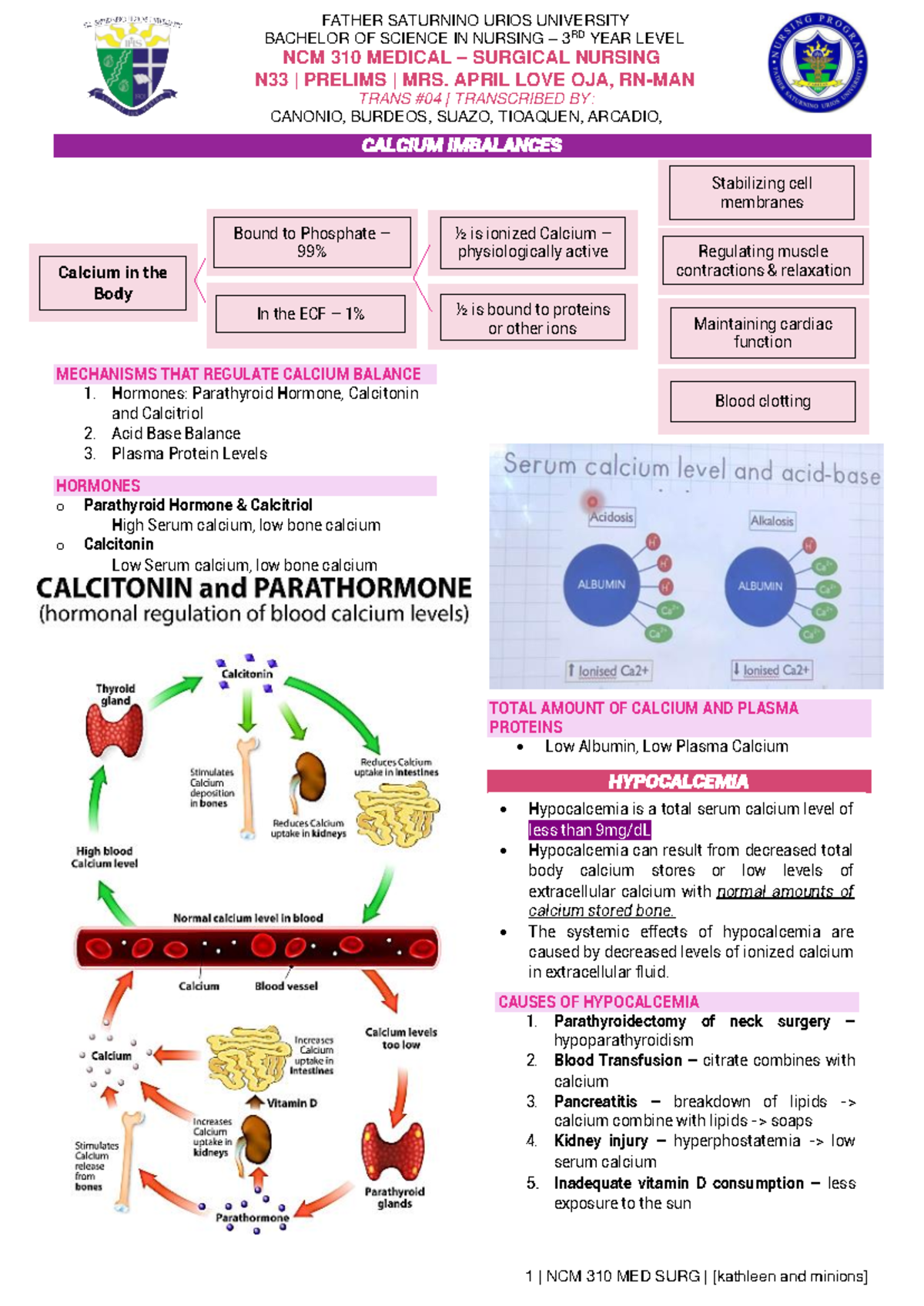 Calcium Magnesium Imbalances Medsurg - BACHELOR OF SCIENCE IN NURSING ...