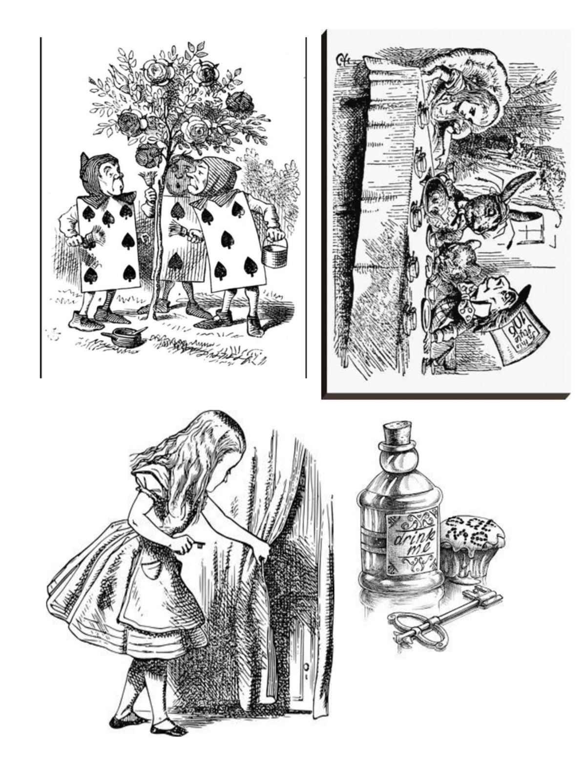 Alicia dibujos - jhh - Español - Studocu