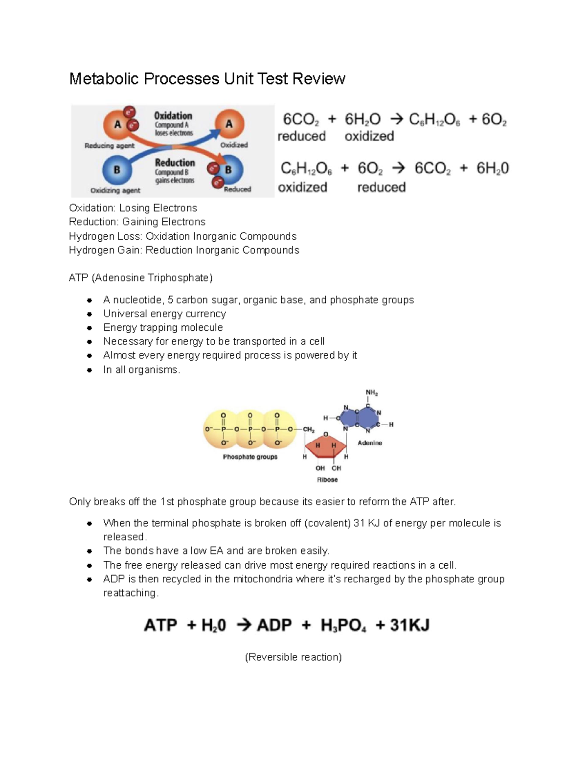 Metabolic Processes - Only breaks off the 1st phosphate group because its easier to reform the ...