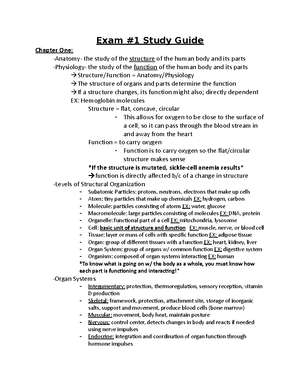 A+P Study Guide Exam 1 - Lecture notes Exam 1 - Chapter 1 An Overview ...