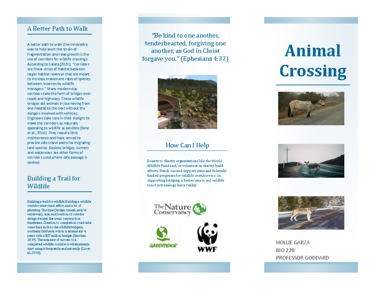 BIO 220 T5 Restoration Pamphlet - Animal Crossing A Better Path to Walk ...