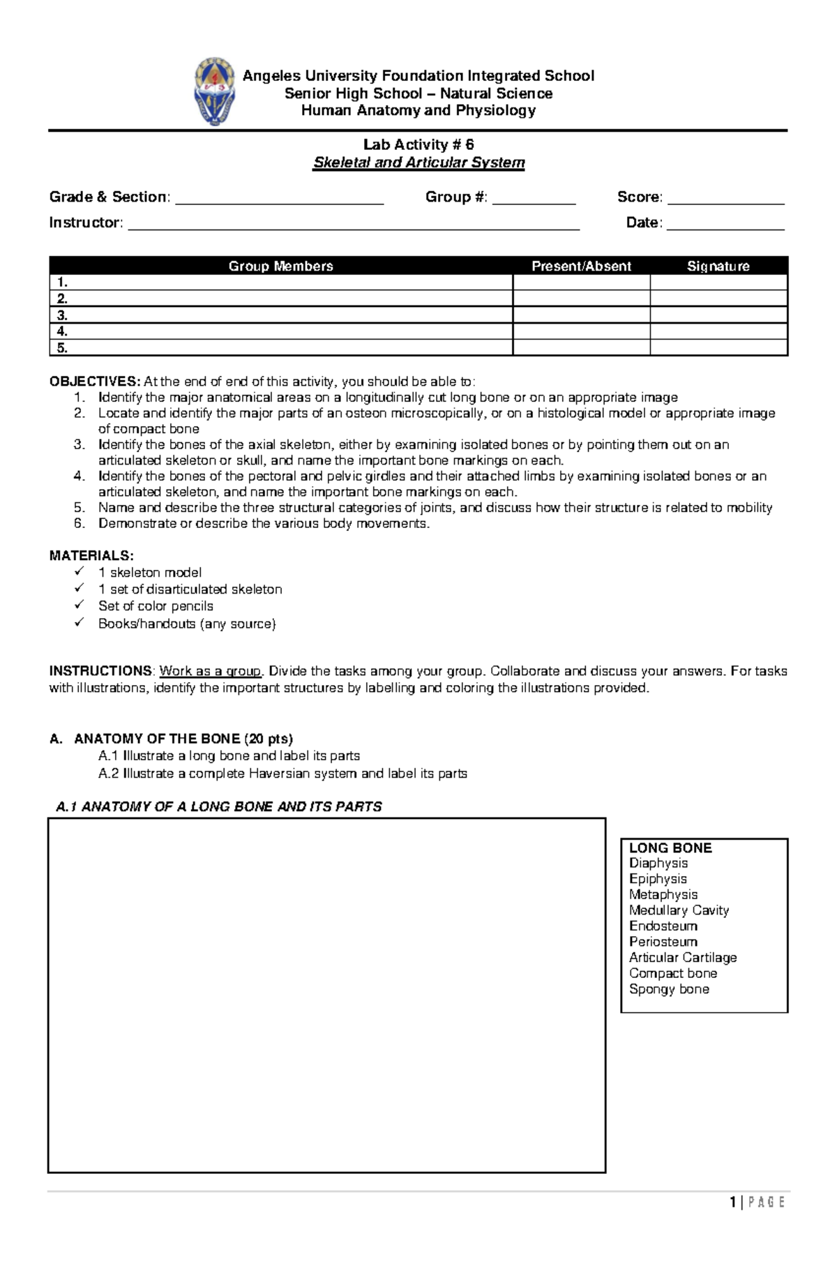 HAP Lab Activity Skeletal and Articular System - Angeles University ...