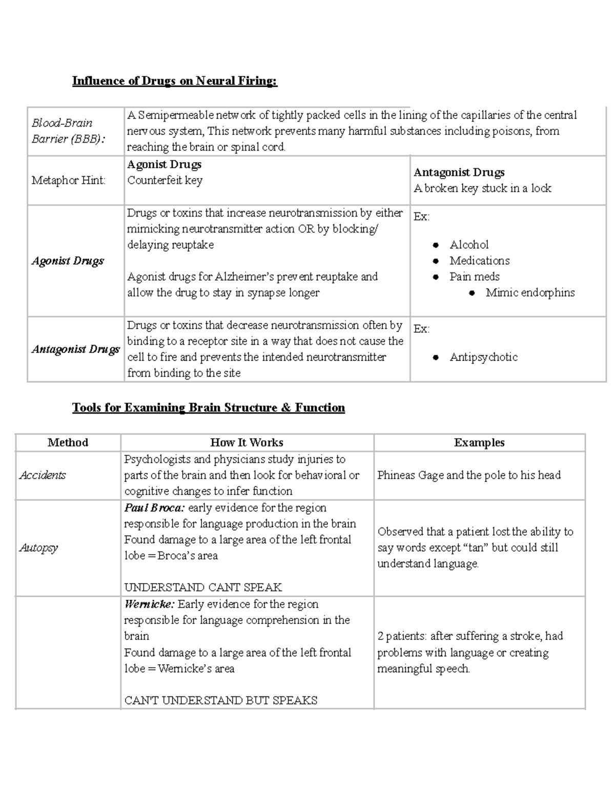 Neural Firing and Brain Structure* - Influence of Drugs on Neural ...