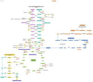 Esquema rutas metabolicas - Esquema de rutas metabólicas 1 / Los Carbohidratos Son moléculas que ...