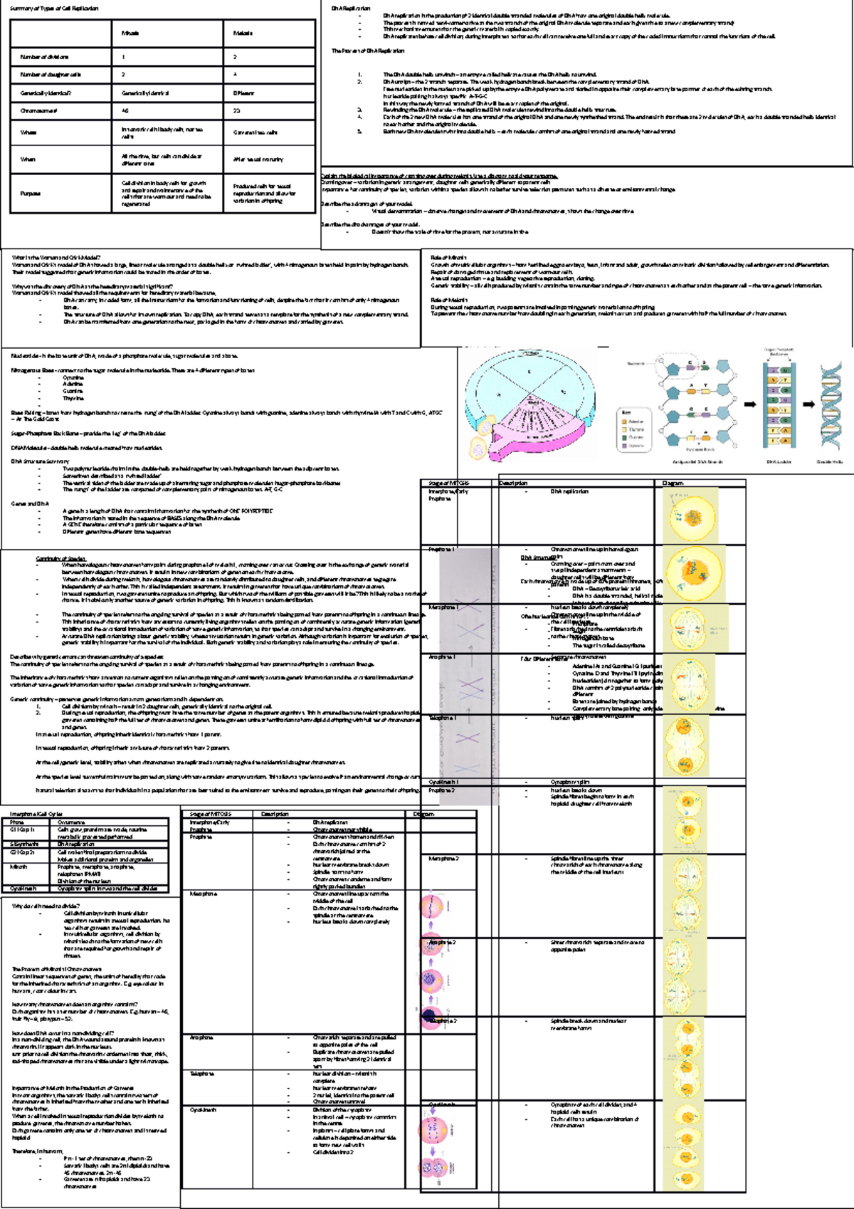 Biology Inquiry Question 2 Summary Sheet - Stage of MITOSIS Description ...