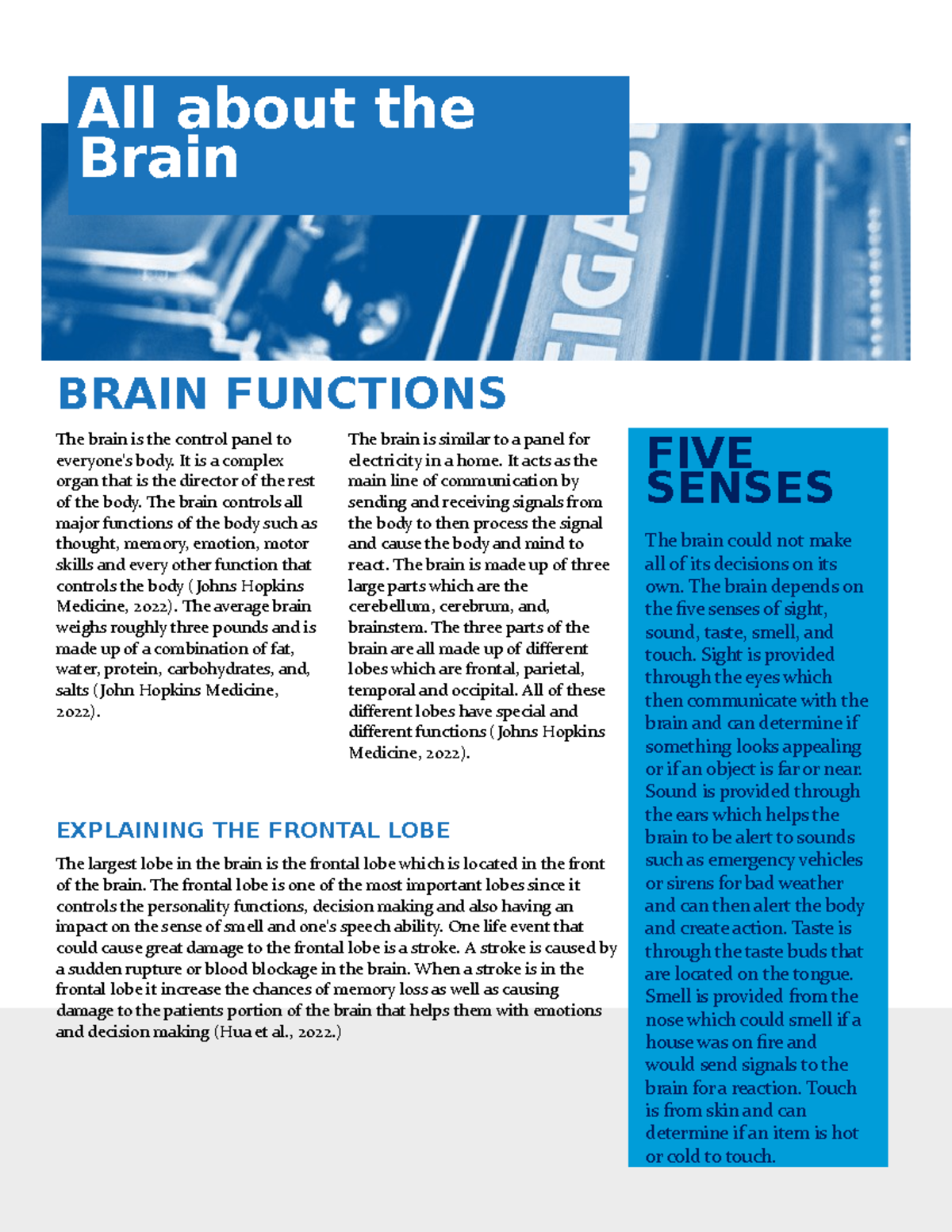 All about the Brain fixed - All about the Brain BRAIN FUNCTIONS The ...