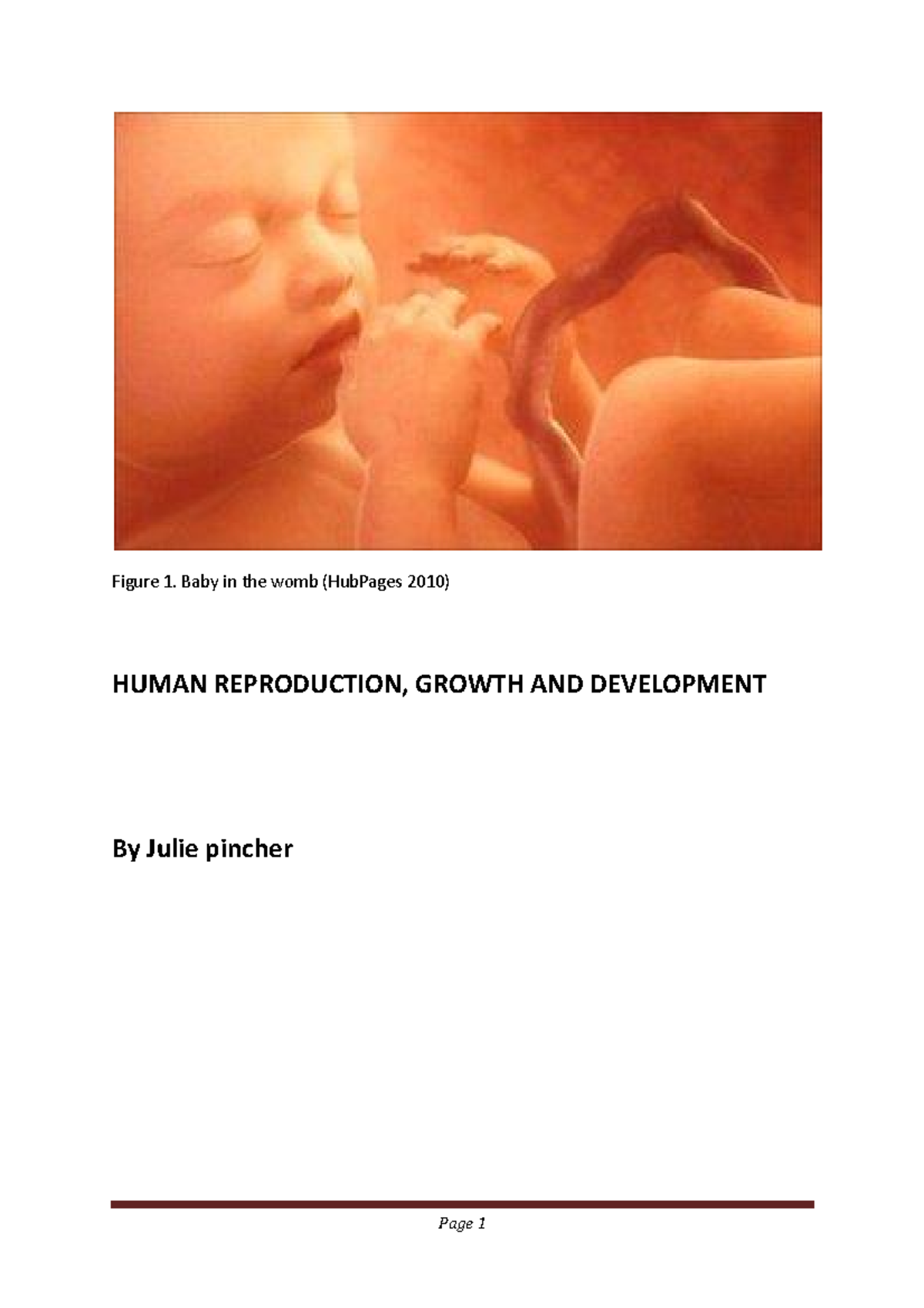 Human Reproduction - Figure 1. Baby in the womb (HubPages 2010) HUMAN ...