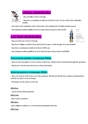 Hurricane HIC and LIC - HIC and LIC geography case study - Hurricane ...