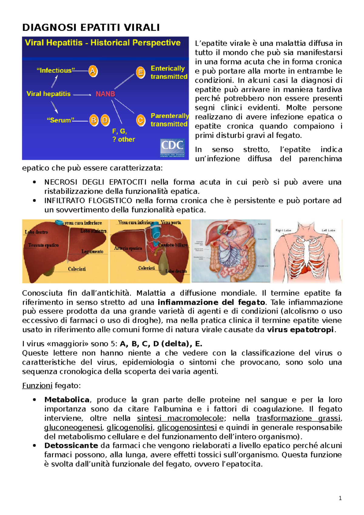 15 Diagnosi Epatiti Virali - DIAGNOSI EPATITI VIRALI L’epatite virale è ...