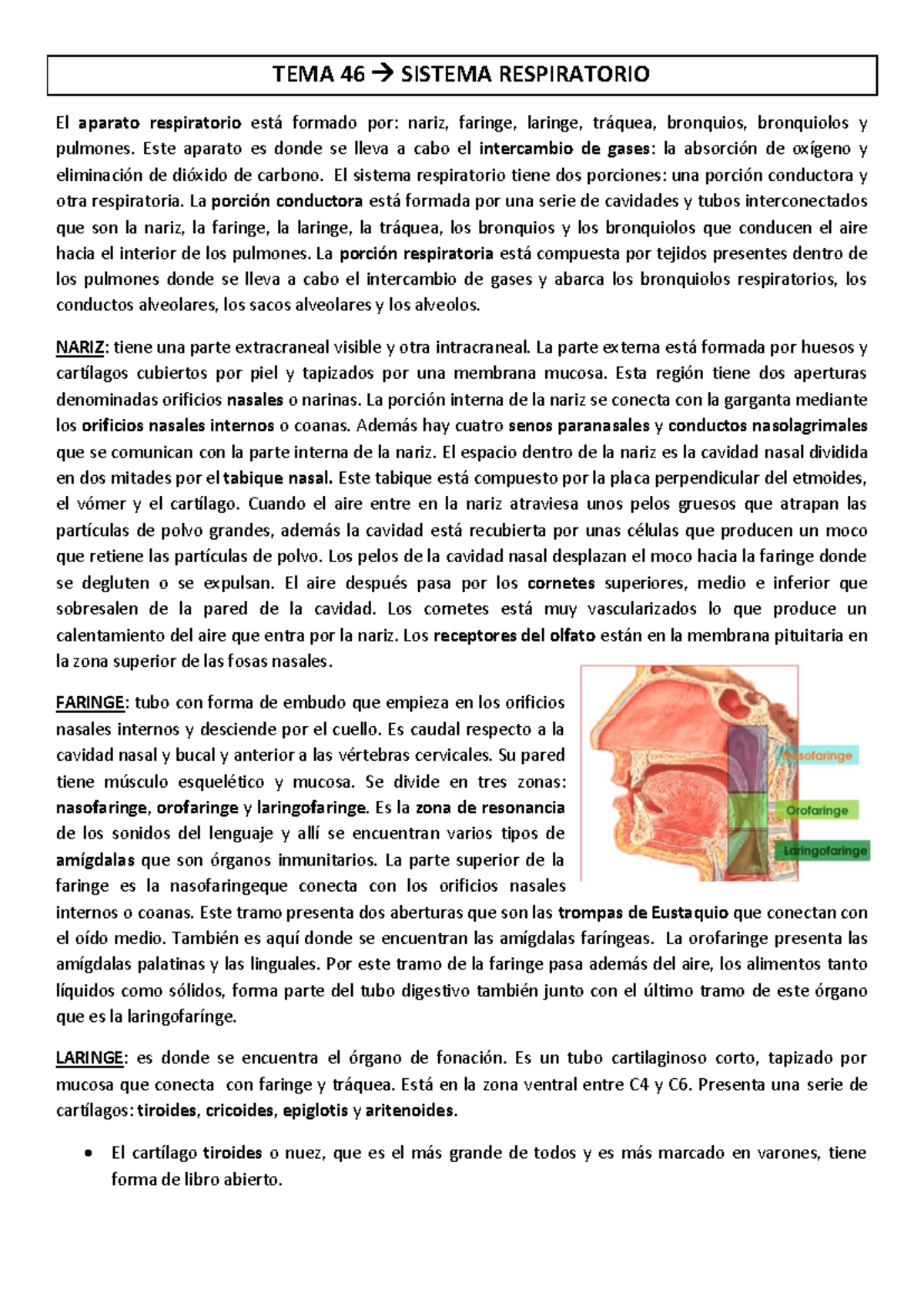 Tema 46 sistema respiratorio - TEMA 46 SISTEMA RESPIRATORIO El aparato respiratorio está formado ...