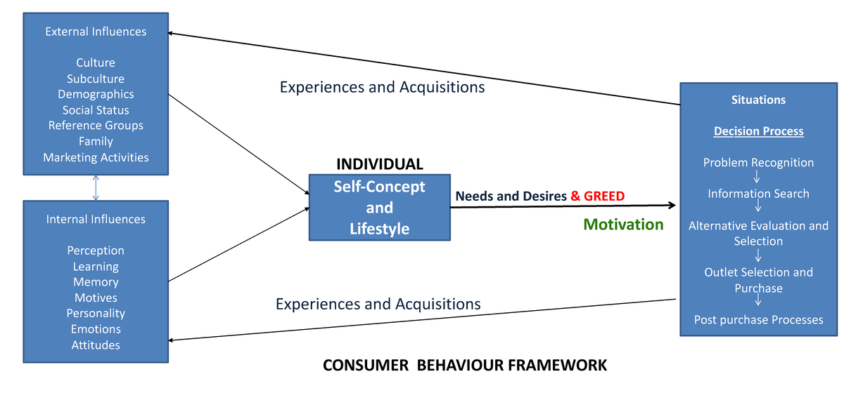 Consumer Behaviour Framework Self Concept And Lifestyle Individual Motivation Needs And