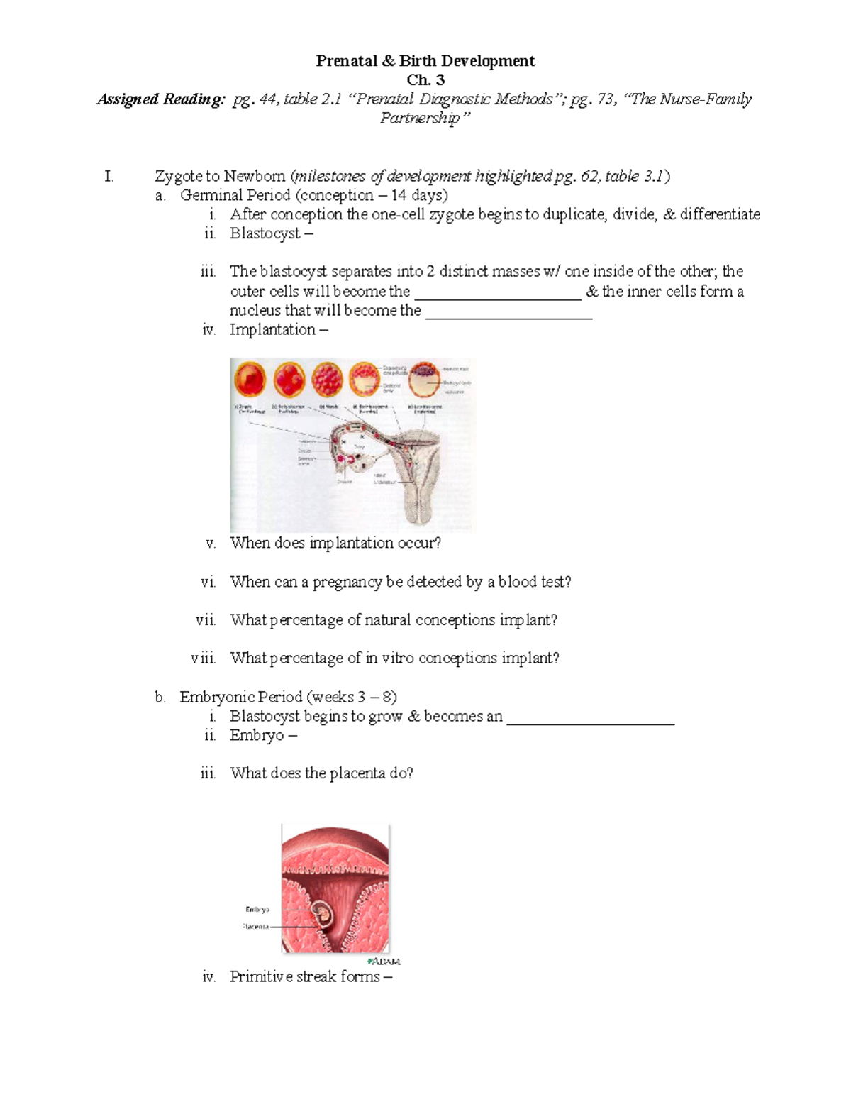 3 Prenatal Dev. (Ch. 3) - Professor: Christina Parker - Prenatal ...