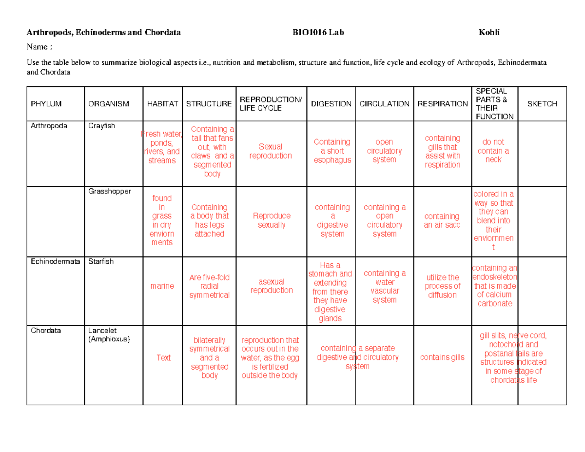 Arthro Echino chordata Worksheet - Arthropods, Echinoderms and Chordata ...