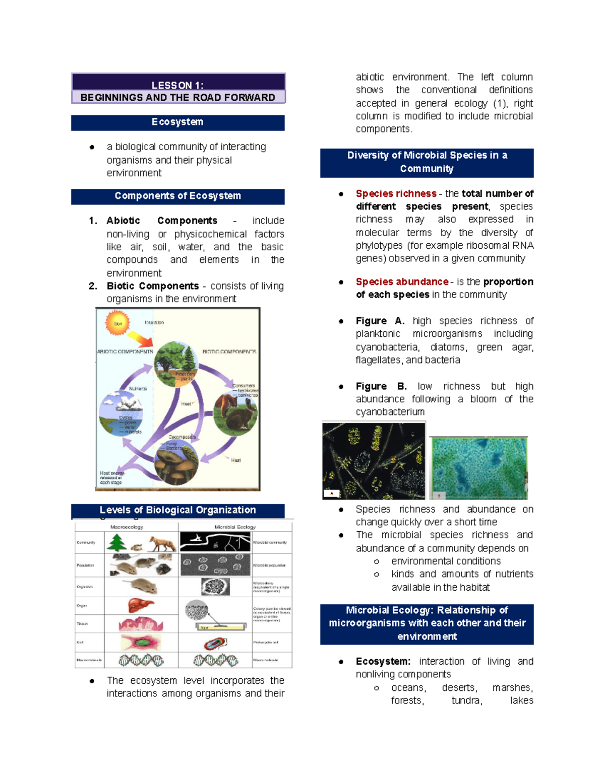 Micro Eco Lesson 1 - LESSON 1: BEGINNINGS AND THE ROAD FORWARD ...