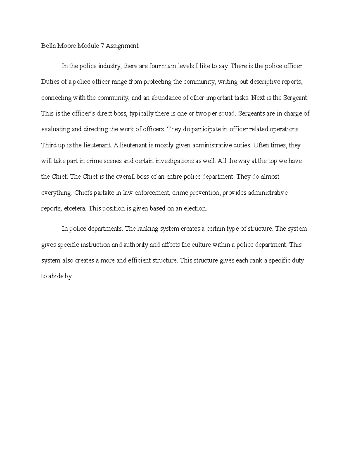 Module 7 Assignment - Tiers of police work and what they do - Bella ...