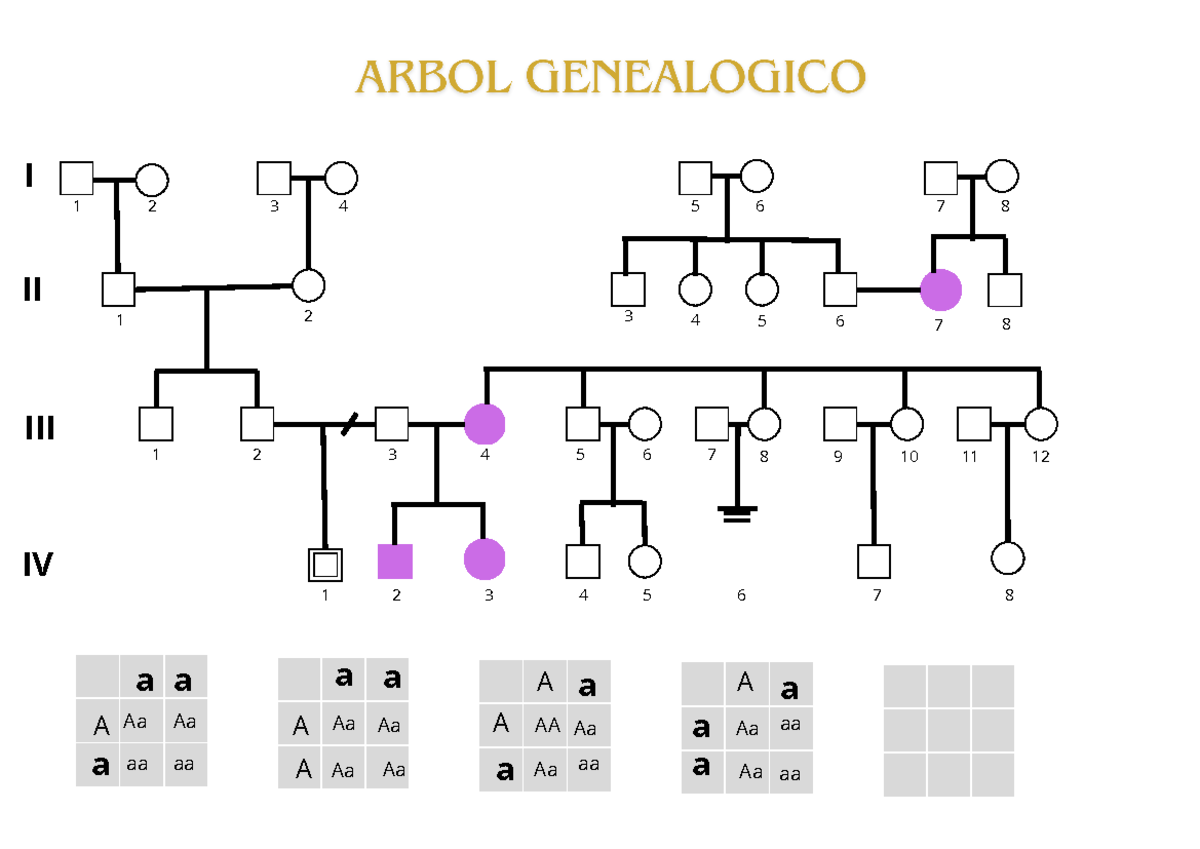 Arbol - Genética Médica - II I III IV 1 2 3 4 5 6 7 8 1 1 1 2 2 2 3 3 3 ...