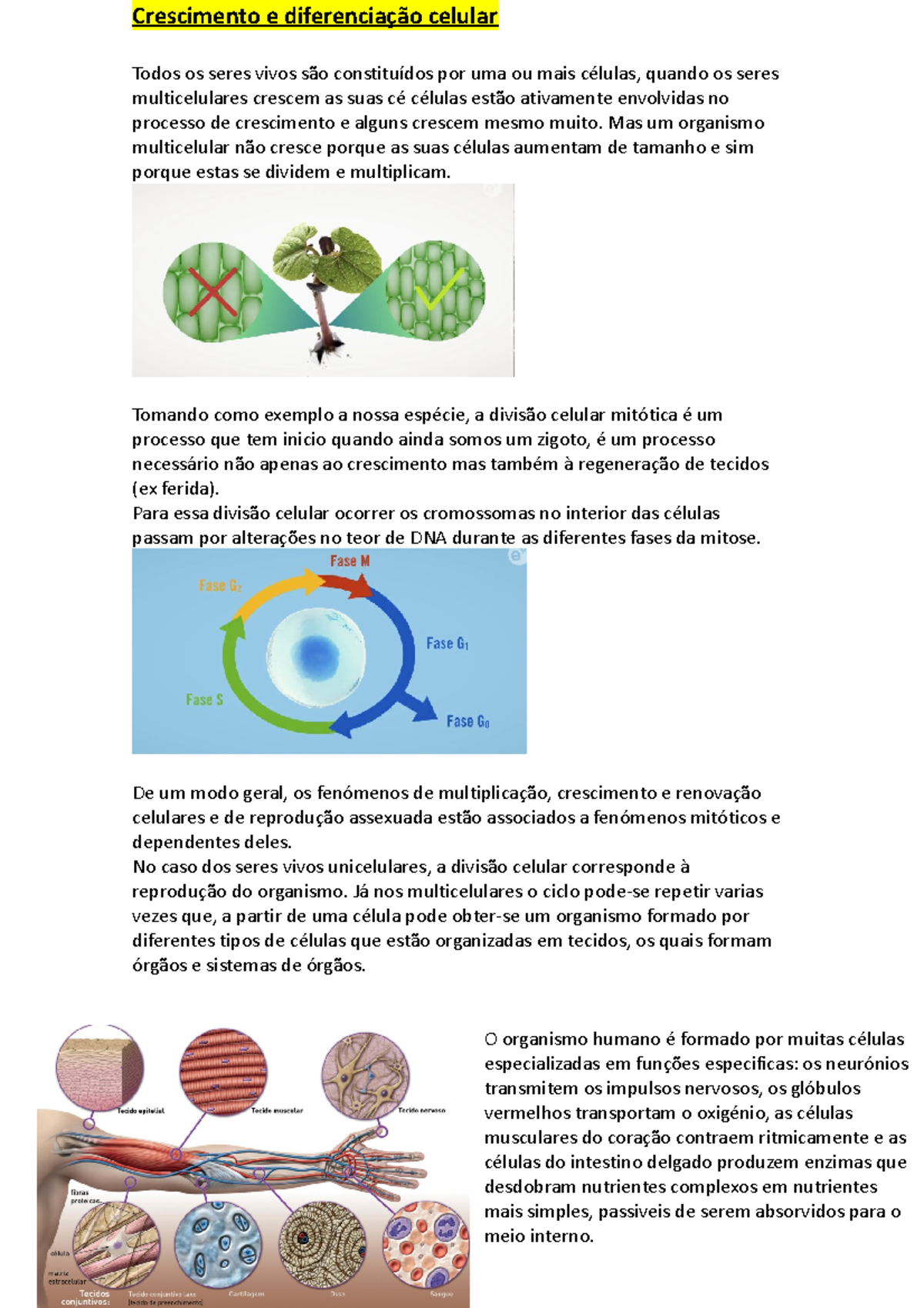 2 teste bio - sdadasd - Crescimento e diferenciação celular Todos os ...