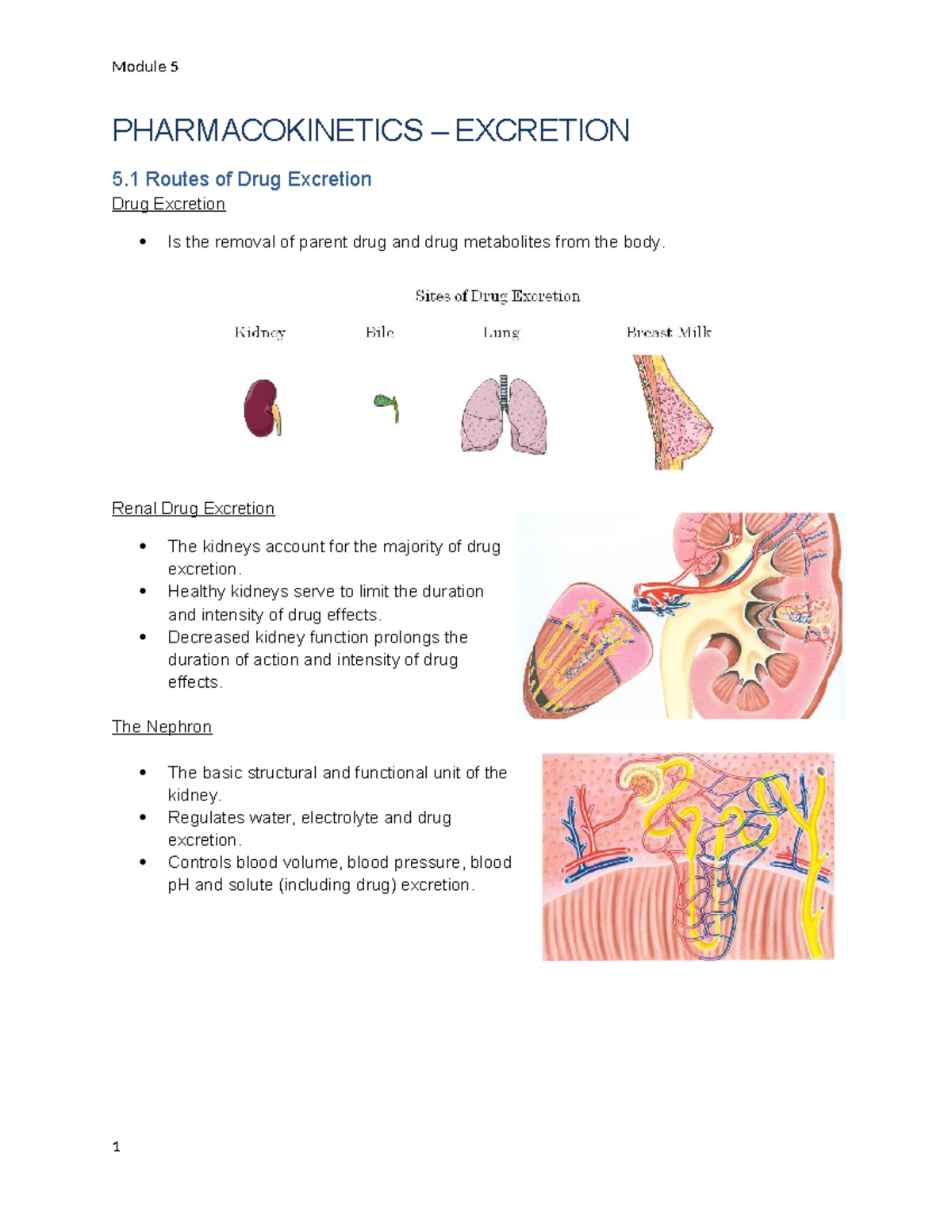 Module 5 Notes 2020 - ....... - PHARMACOKINETICS – EXCRETION 5 Routes ...