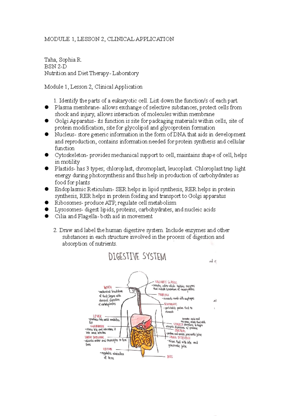 Lesson 2, activity 2 clinical application - MODULE 1, LESSON 2 ...