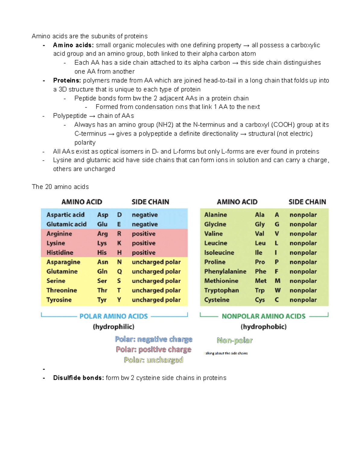 Topic 2 - Amino Acids (pg. 55-56, 74-75 - Amino acids are the subunits ...
