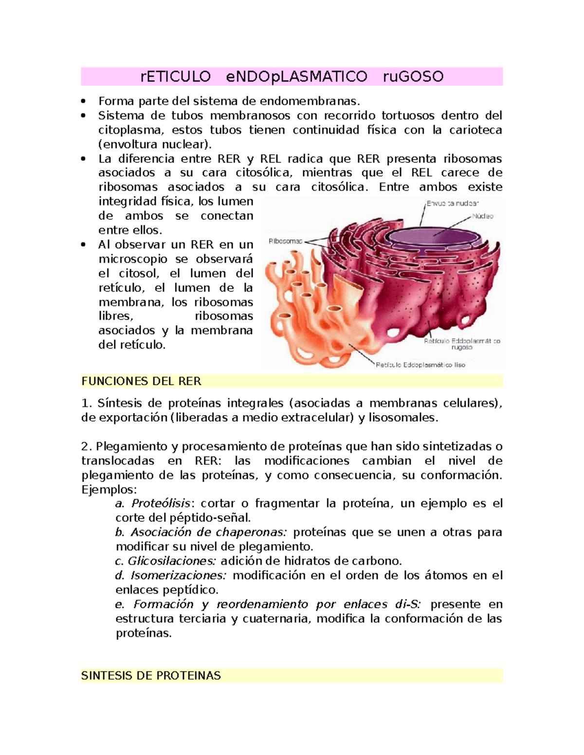 Resumen RER - rETICULO eNDOpLASMATICO ruGOSO Forma parte del sistema de ...