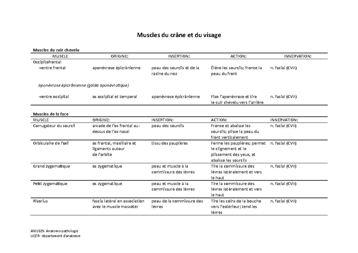 Cours 1- muscles du crâne et du visage - ANI 1025 - Anatomo-pathologie ...