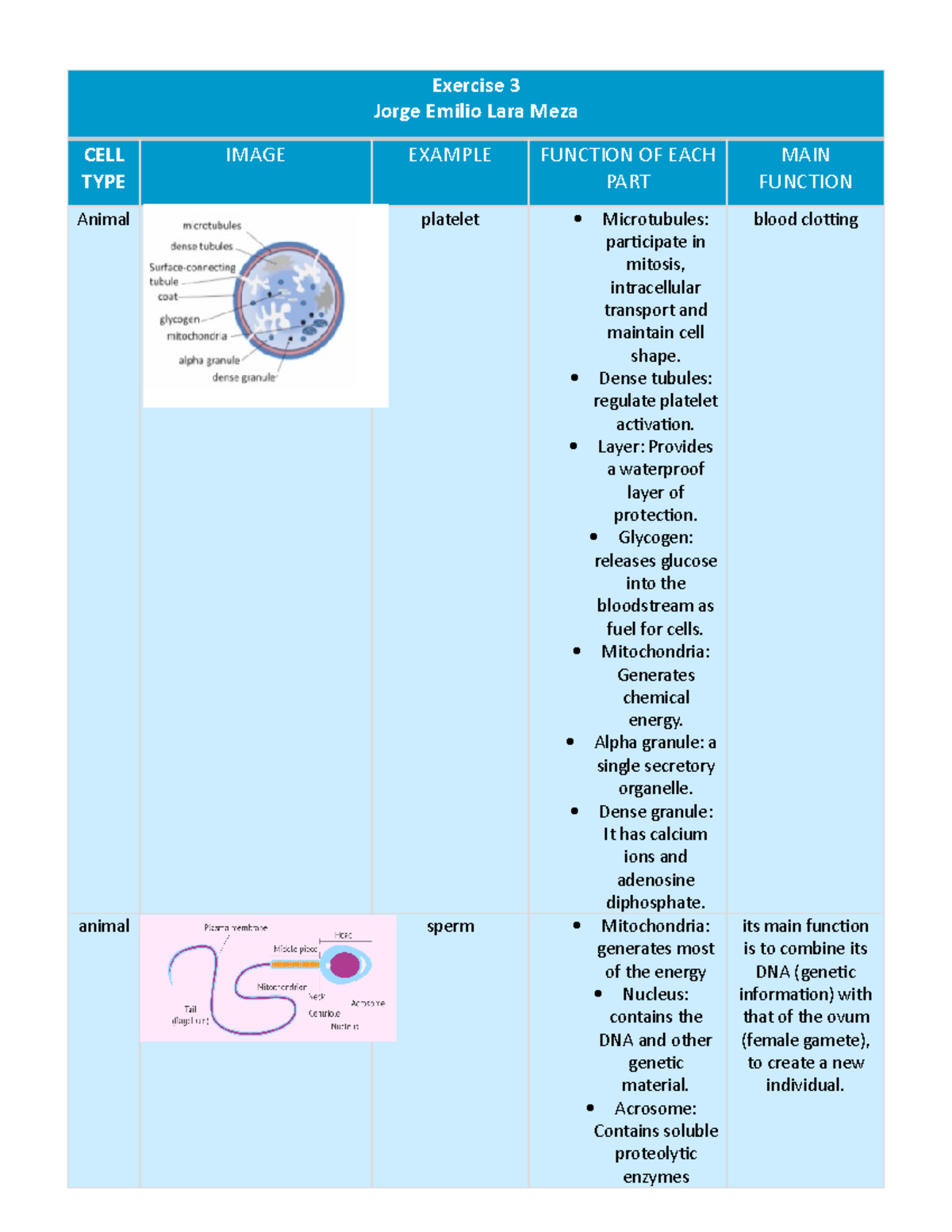 LIFE Science - Excercise 3 - Exercise 3 Jorge Emilio Lara Meza CELL ...