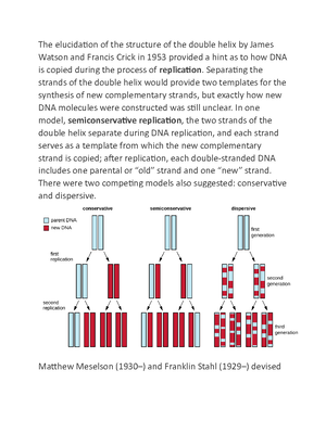 Structure and function of RNA - 17976 - BCU - Studocu