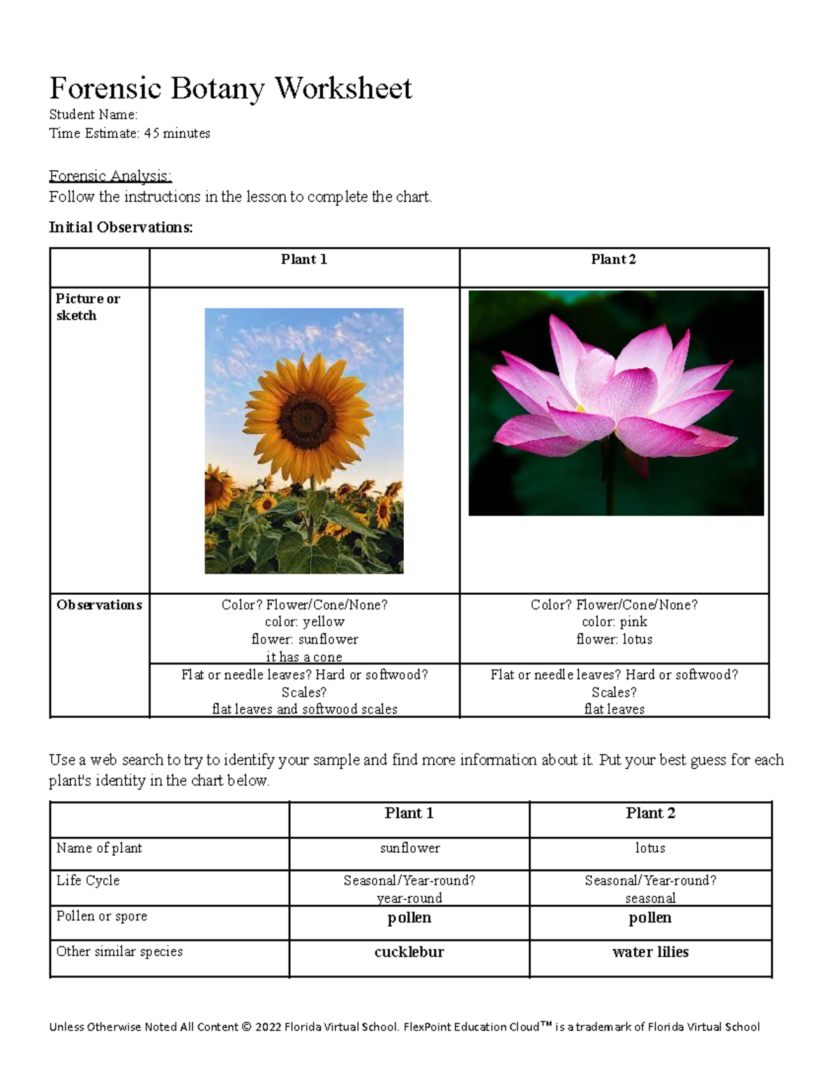 02 05 forensic botany worksheet - Forensic Botany Worksheet Student ...