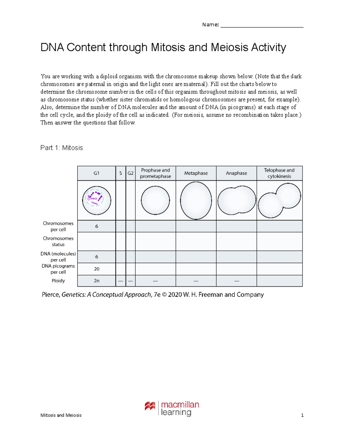 Pierce genetics 7e mitosisandmeiosishandout ch02 - Name ...