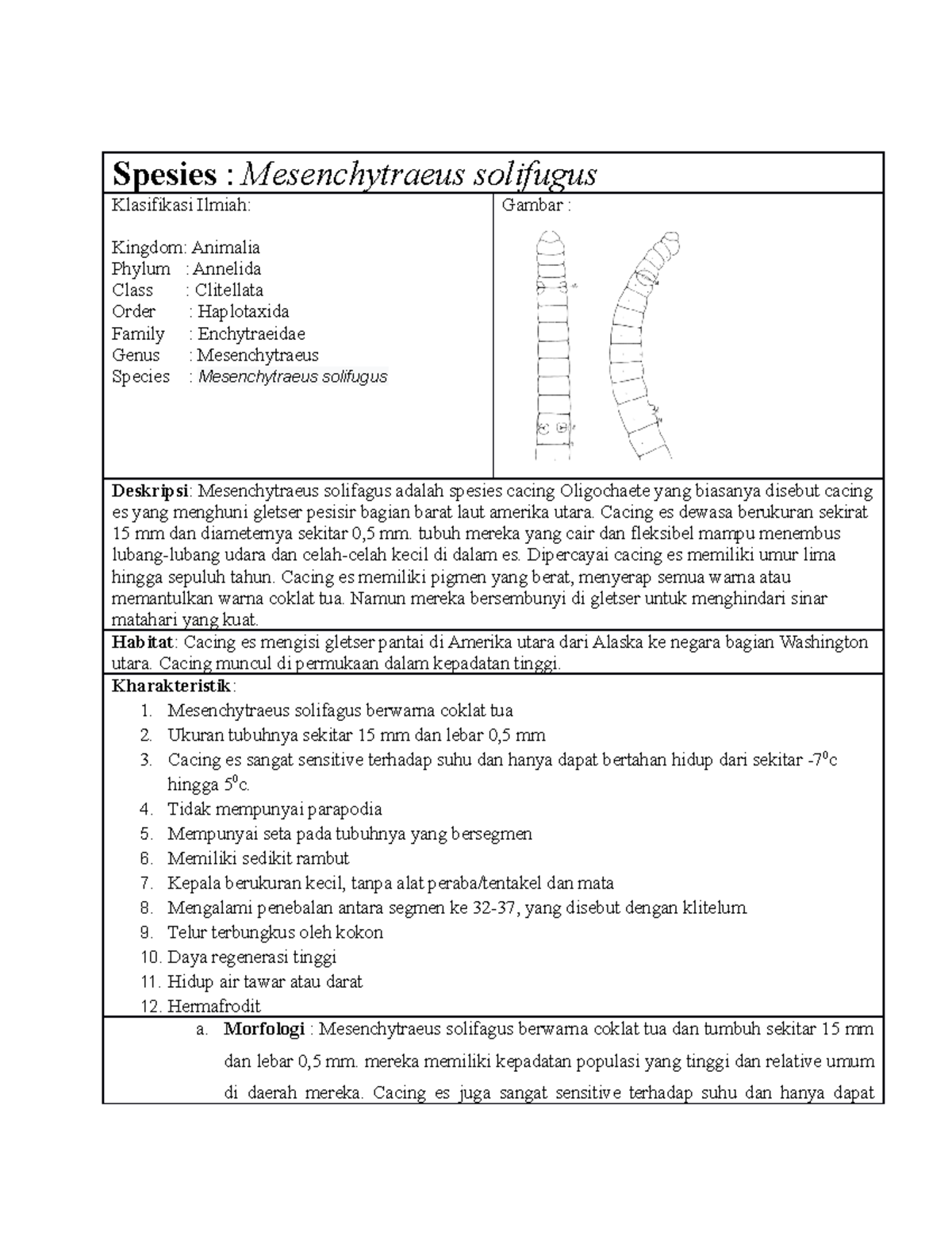 05.febriyani tetty sitanggang.Mesenchytraeus solifugus - Spesies ...