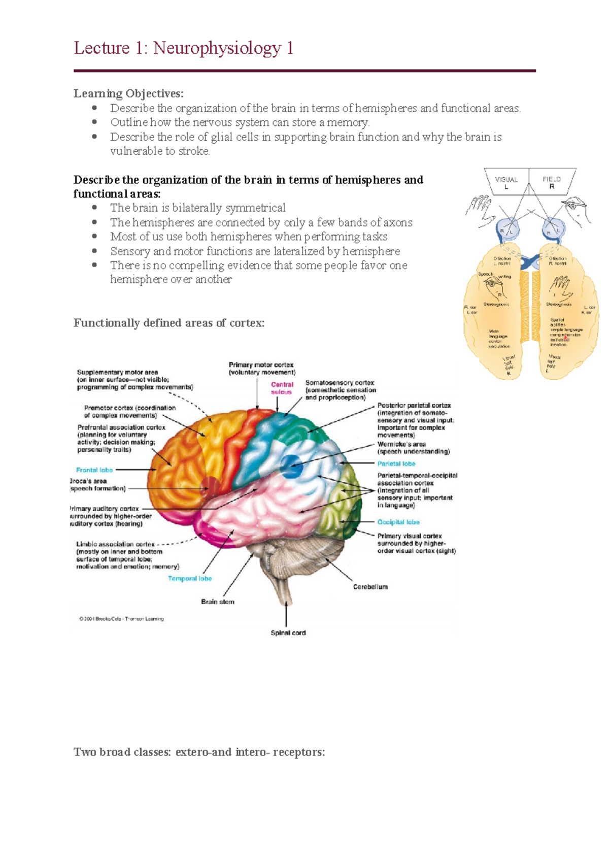 Neurophysiolgy Notes - Lecture 1: Neurophysiology 1 Learning Objectives ...