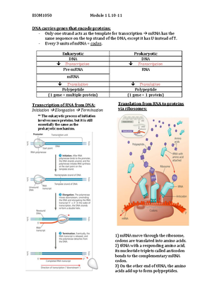 Cell Communication - CELL COMMUNICATION Forms of Signalling LOCAL ...