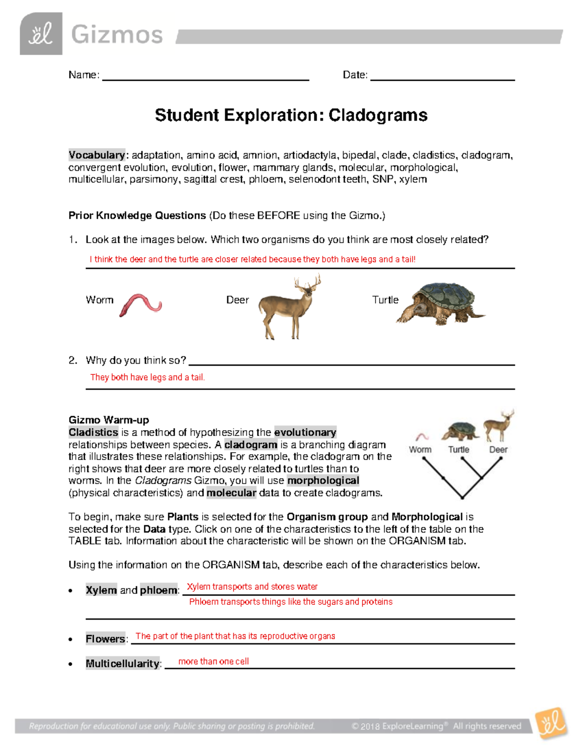 Kami Export - Cladograms SE - Name: Date: Student Exploration ...