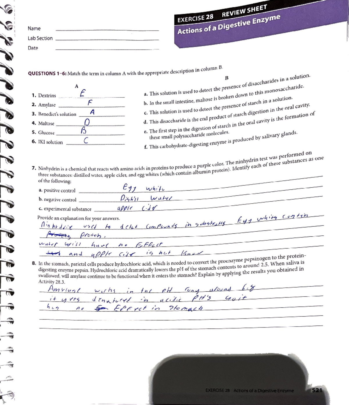 28 - Lab notes - BSC 2086C - Studocu