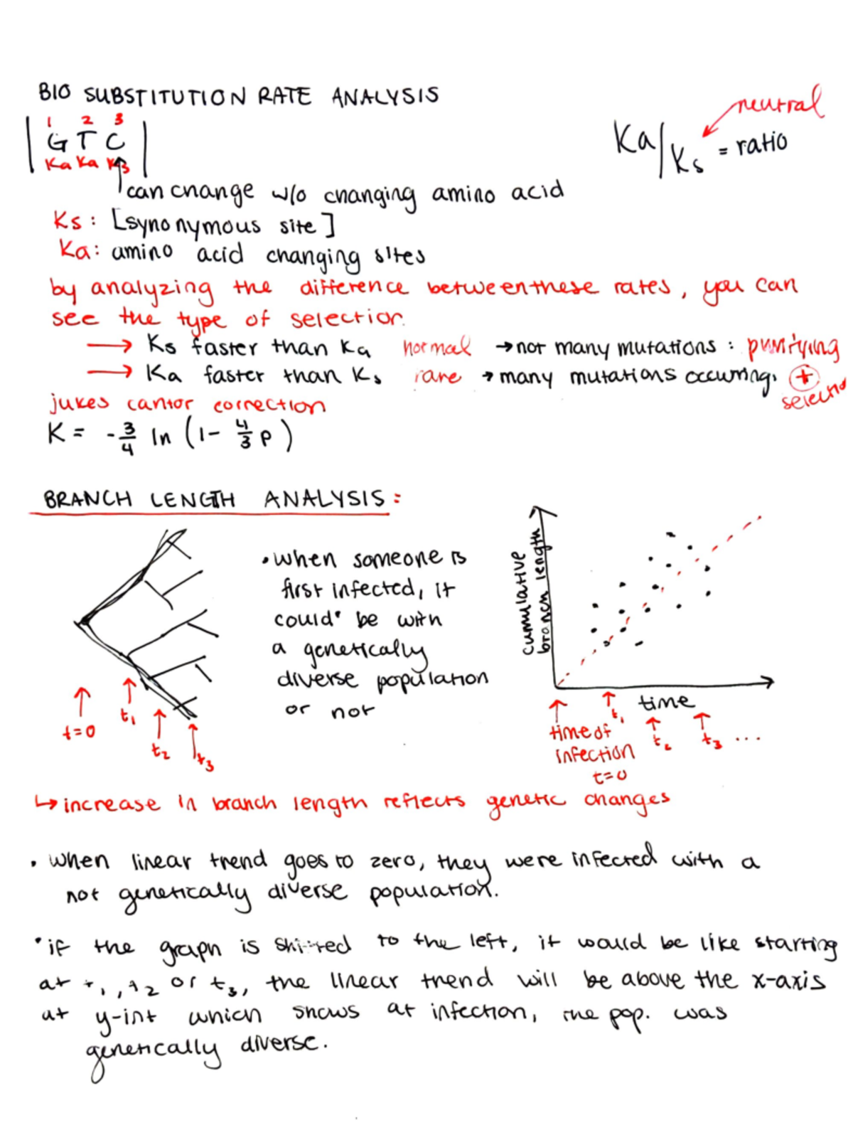 Substitution rate and branch length analysis - neutral Kalks Ks = rati ...