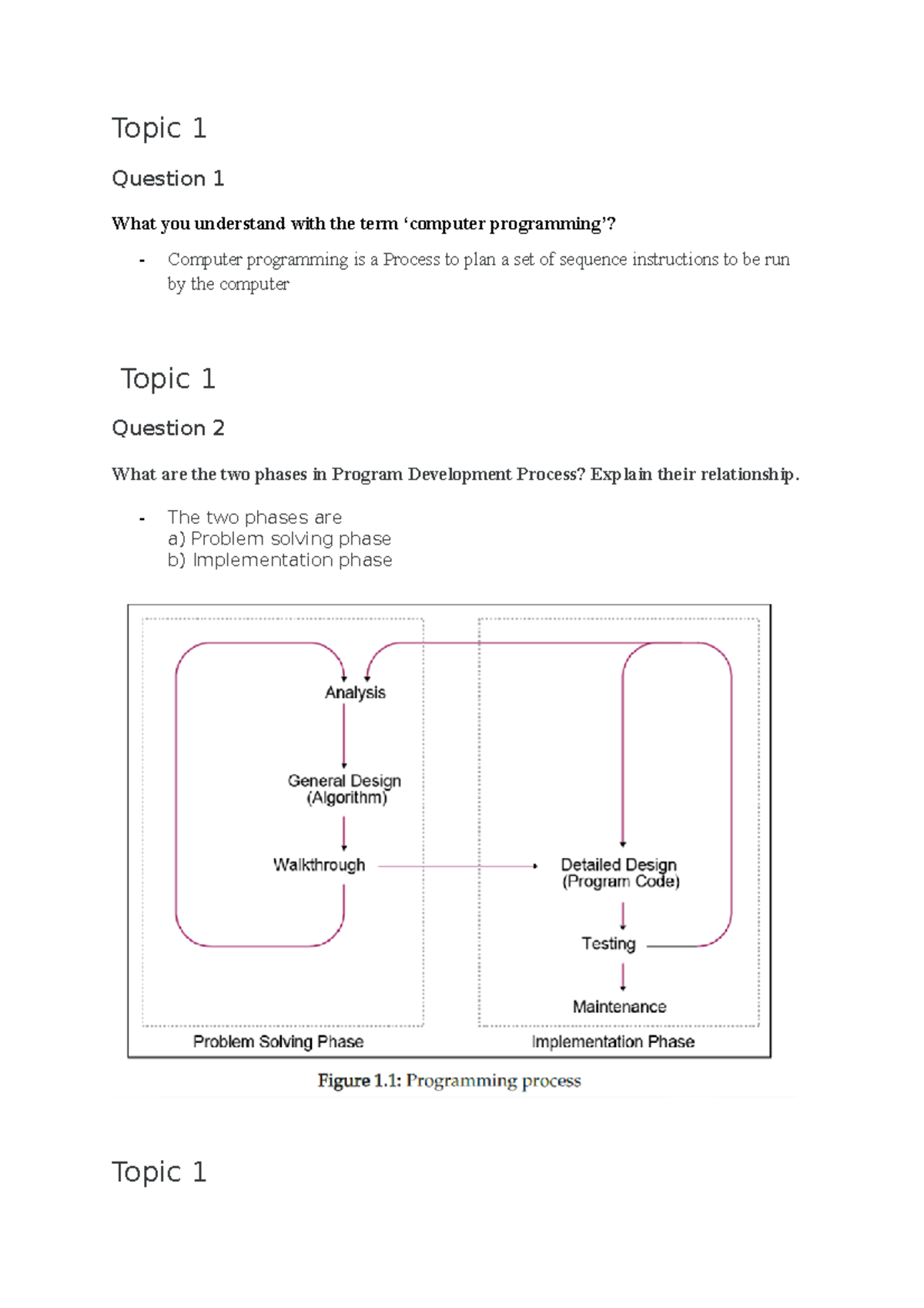 Topic 1 - Computer Programing 1 - Topic 1 Question 1 What you ...