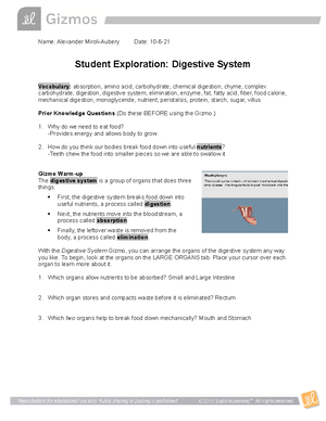 Senses Gizmo - Gizomo Worksheet - Name: Date: Student Exploration ...