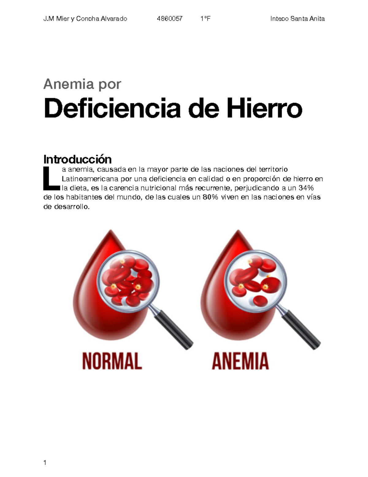 Anemia DF Investigación - Anemia por Deficiencia de Hierro Introducción ...