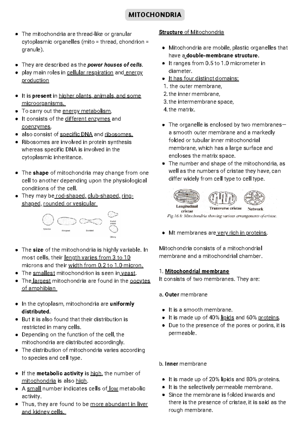 Mitochondria - They are described as the power houses of cells. play ...