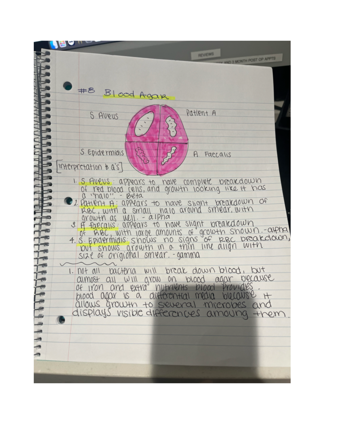 Blood agar lab - lab manual - BI ood AgaR Patient A S. Aveus S ...