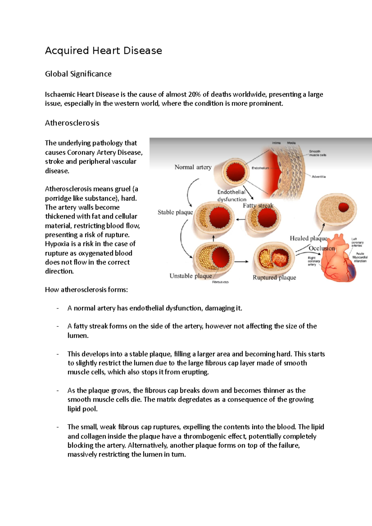 Acquired Heart Disease - Acquired Heart Disease Global Significance ...
