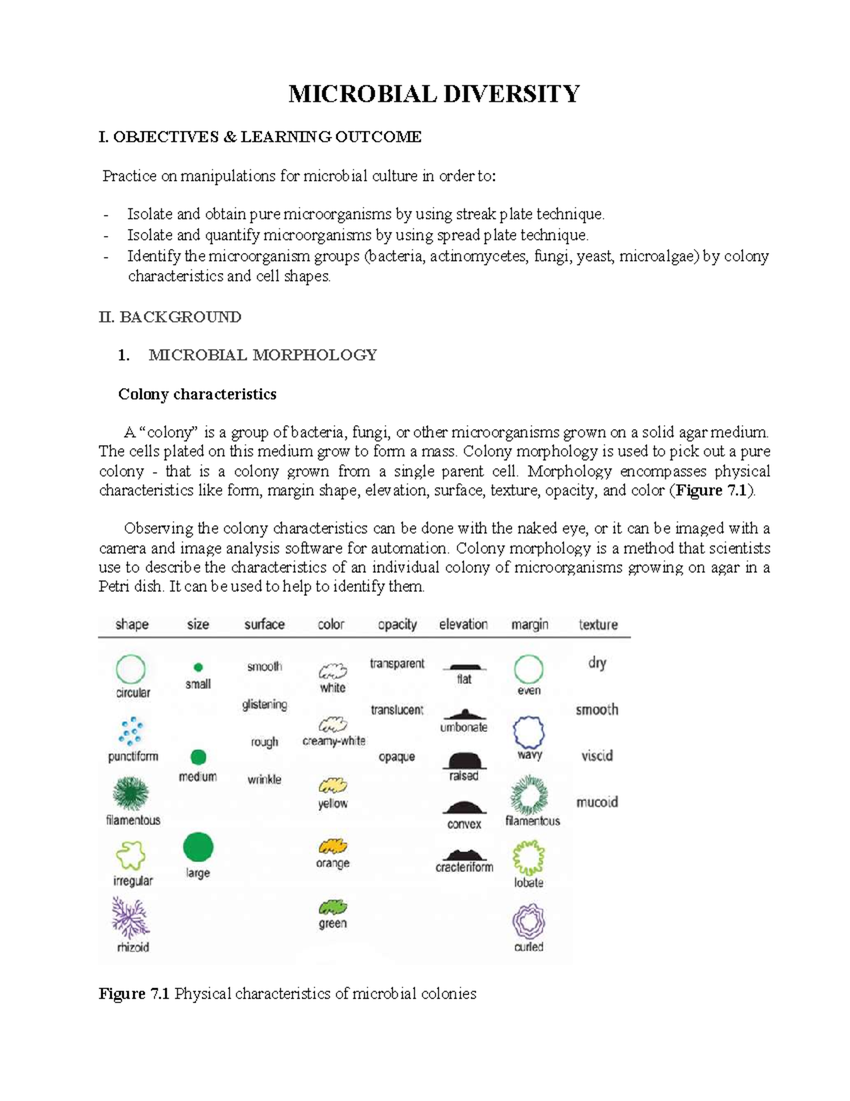 07 Microbial Diversity - MICROBIAL DIVERSITY I. OBJECTIVES & LEARNING ...