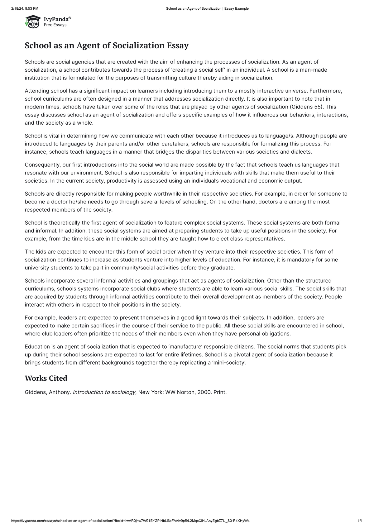 School as an Agent of Socialization Essay Example - 2/18/24, 9:53 PM ...
