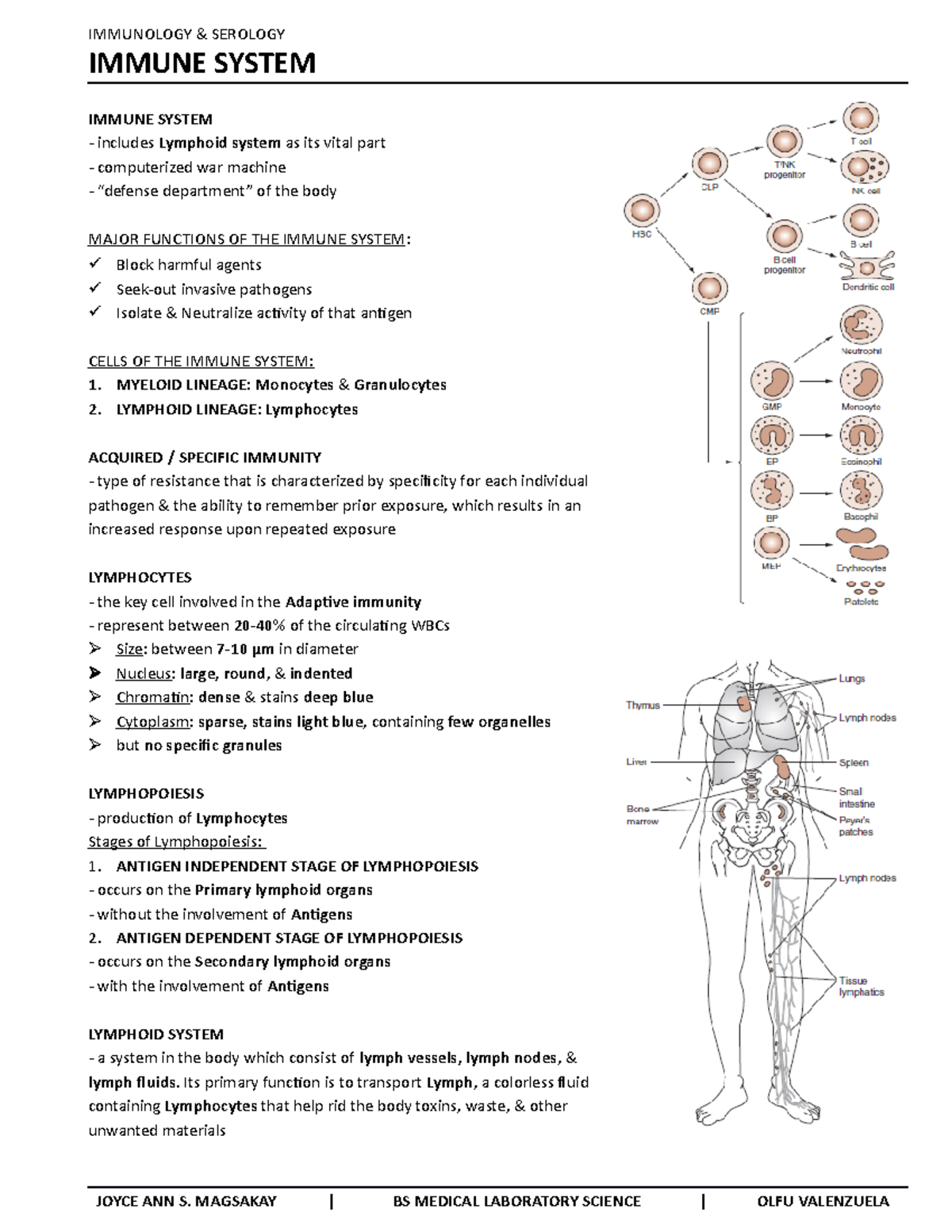 3. Lymphoid System - Notes taken from the lecture of Sir Joseph Joy ...