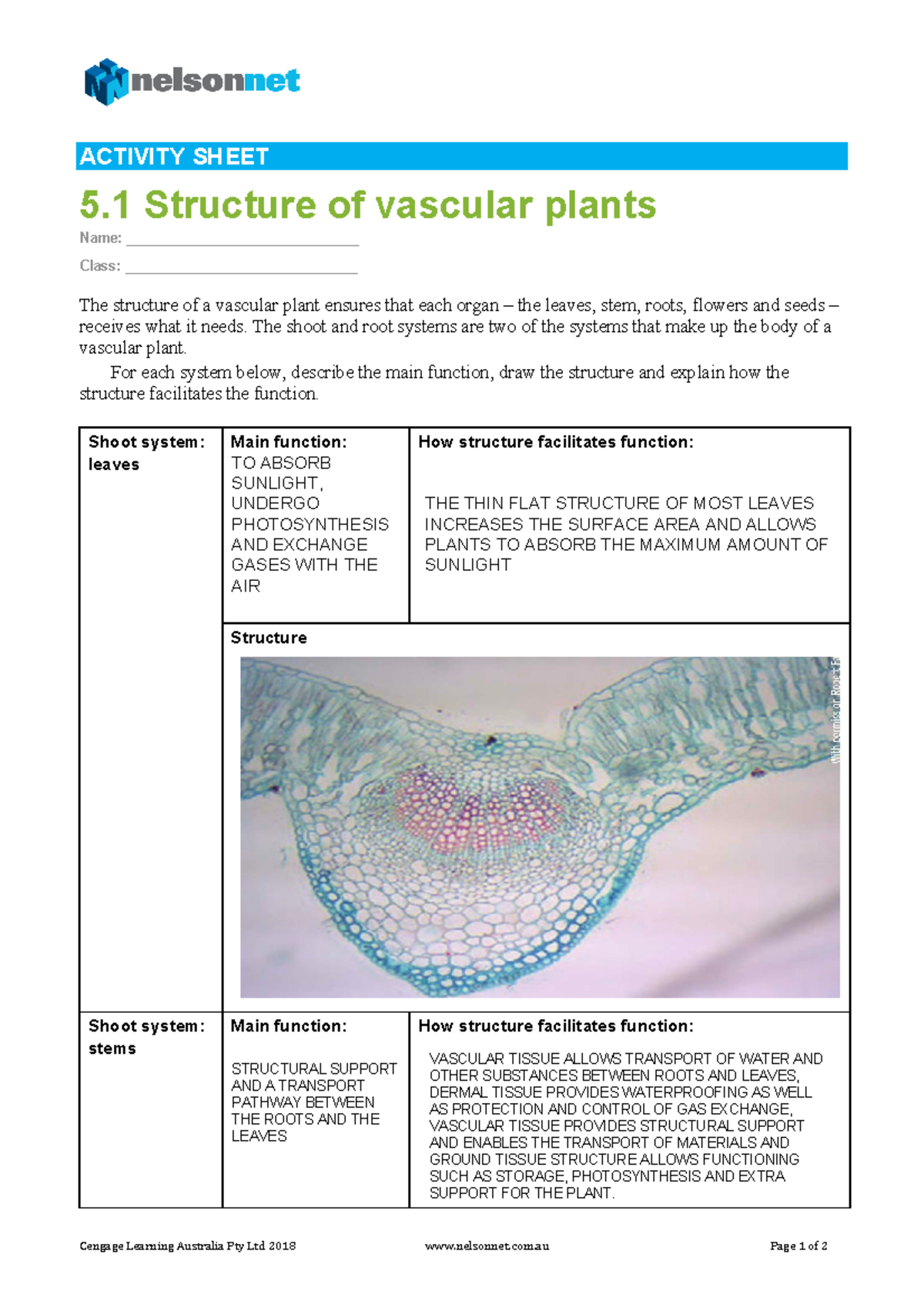 Completed structure of plants sheet - Cengage Learning Australia Pty ...
