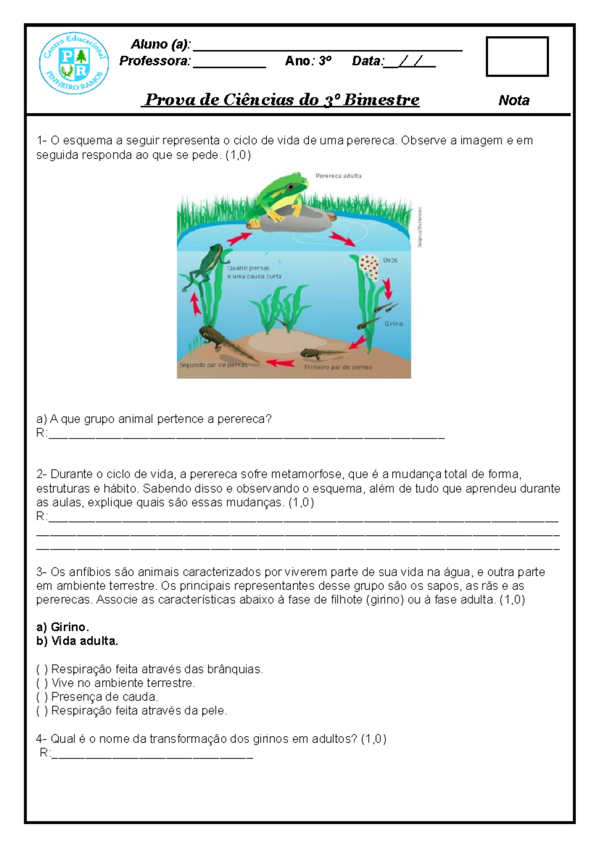 Prova de Ciências do 3º Ano 3º Bi - Aluno (a ...