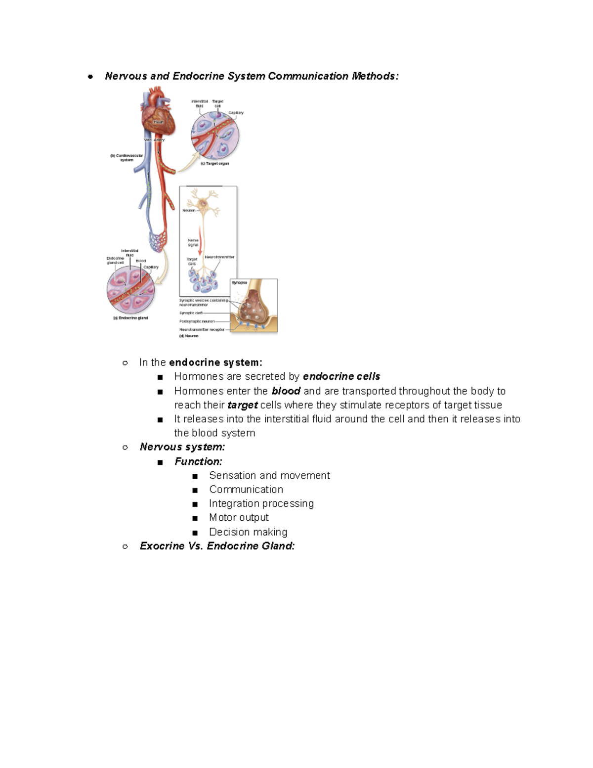 Nervous and Endocrine System Communication Methods - Endocrine Gland ...