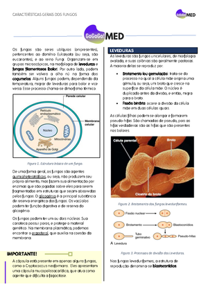 Relado de caso C. guttulatus - INFECÇÃO POR CYNICLOMYCES GUTTULATUS EM ...